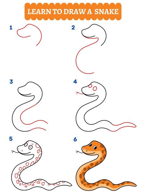 How To Draw A Snake Learn How To Draw