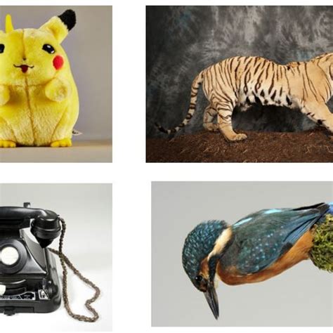 Make A Museum Categorizing Objects Activity • Mylearning