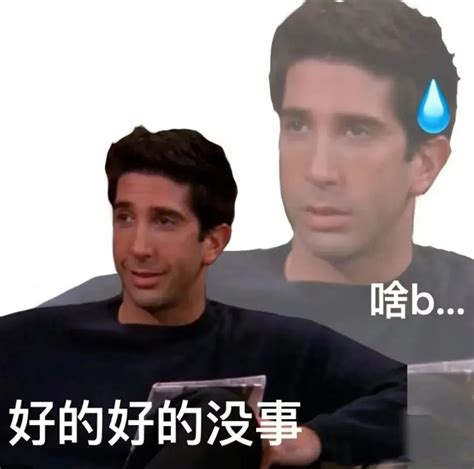 表情包 你这不是抬杠吗