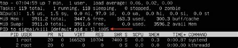 How To Kill A Process On Linux Linux Genie