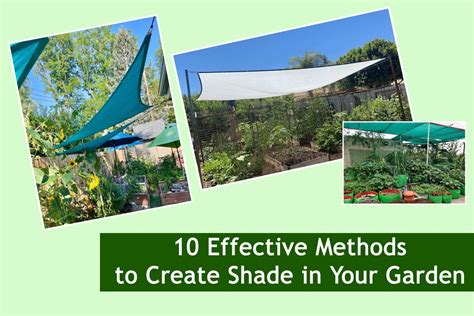 Effective Methods To Create Shade In Your Garden
