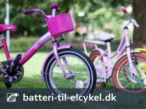 Hvordan Forhindrer Du Tyveri Af Din Elcykel L Se