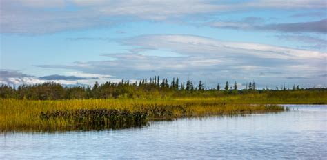 Seizing Opportunities To Build Climate Resilience With Wetlands Wisconsin Wetlands Association