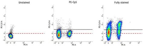 Pin On Flow Cytometry