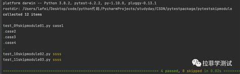 Pytest篇8 Pytest之skipskipif跳过用例 Csdn博客