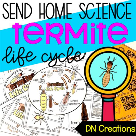 Send Home Science Termites Life Cycle L All About Termites L Insect Science Made By Teachers