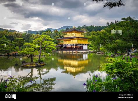 Kinkaku Ji Golden Temple Pavilion In Kyoto Japan Kinkaku Ji Golden