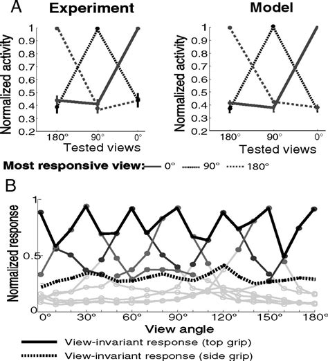 Physiologically Inspired Model For The Visual Recognition Of Transitive Hand Actions Journal