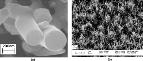 Sem Of Boron Nanowires Synthesized At A 800 8 C And B 1100 8 C For Download Scientific