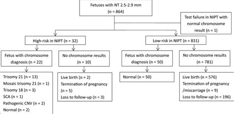 Flowchart Of 864 Fetuses With Nt 2529mm Sca Sex Chromosome Download Scientific Diagram Flowchart Of 864 Fetuses With Nt 2529mm Sca Sex Chromosome Download Scientific Diagram