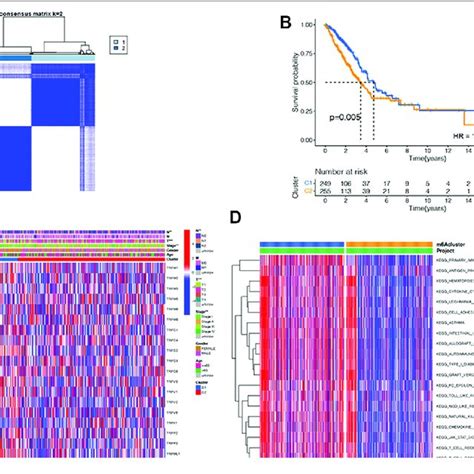 Trp Related Subtypes And Their Clinicopathological Features And