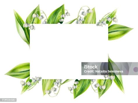 계곡 꽃의 꽃다발이 있는 수채화 프레임은 흰색 배경에 분리되어 있다 봄 손으로 그린 그림입니다 디자이너 결혼식 장식 엽서 포장지 스크랩북 표지 초대장 포스터 및 직물