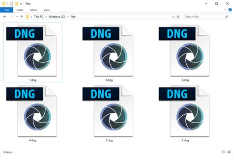 DNG File What It Is How To Open One
