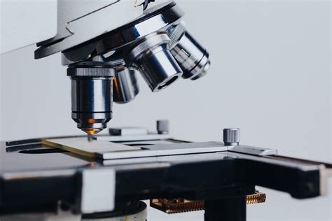 Microscope Quiz By