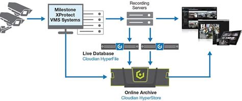 Intelligent Video Surveillance With Milestone Cloudian