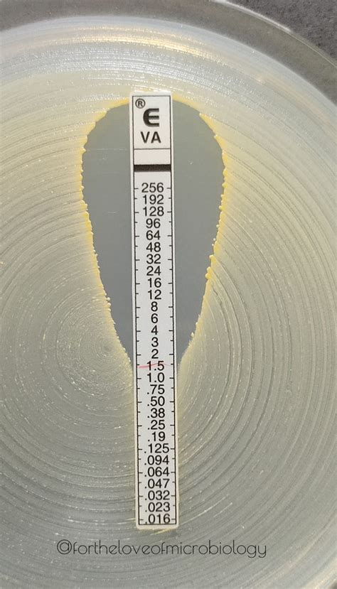 E Test For Determination Of Mic Fortheloveofmicrobiology