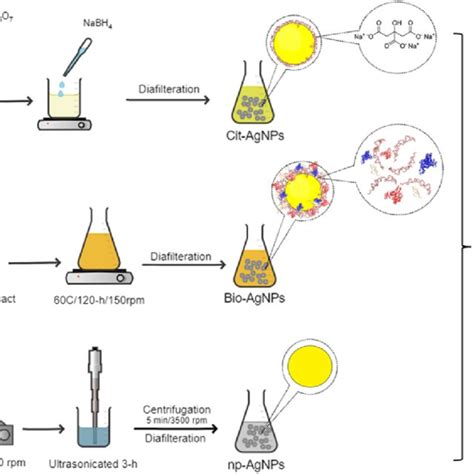 Schematic Representation Of The Chemical And Biological Synthesis As