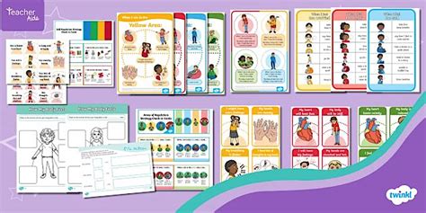 Teacher Aide Emotional Regulation Toolkit Teacher Made