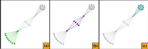 Typical Topological Structures Of Quasi Tree Graphs A A Star In