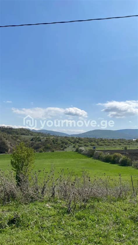 იყიდება სასოფლო სამეურნეო დანიშნულების მიწა დუშეთში Yourmove Ge