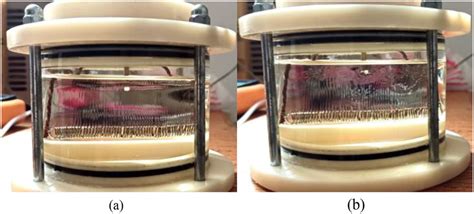 Experimental Thermal Fault Conditions Simulated By Immersed Heating Download Scientific