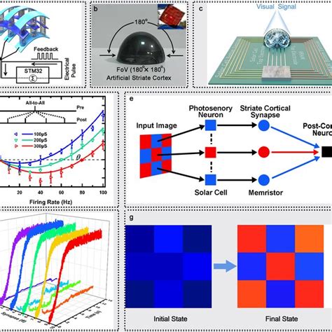 Bcm Learning Rule For Pattern Learning Based On Device Level Artificial Download Scientific
