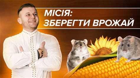 ЯК ЗБЕРІГАТИ НАСІННЯ Youtube