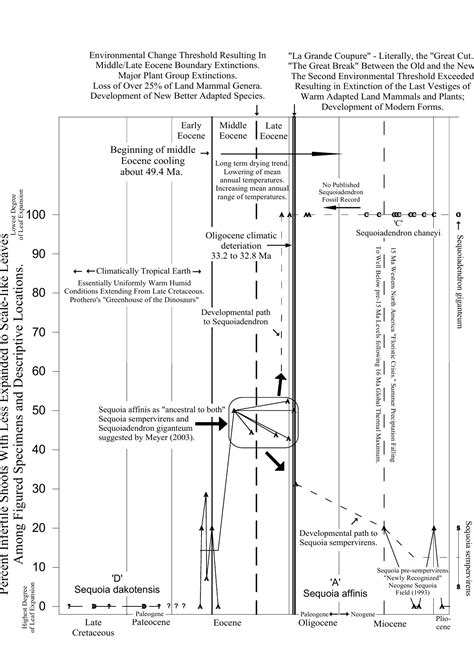 Figure 30 Geologic History Of The Giant Sequoia And The