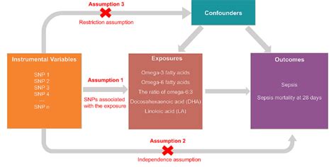 Overall Design Of The Present Study SNP Single Nucleotide Polymorphism Download Scientific