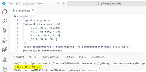 How To Remove Nan From Array In Python