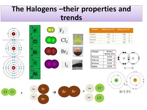 Group 7 Elements The Halogens Properties Reactions And Trends