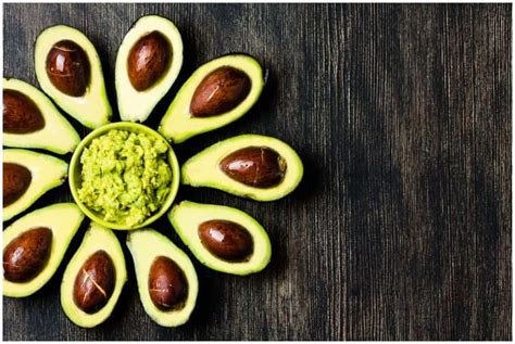 Fun Interesting Facts About Lipids Health Guide Net