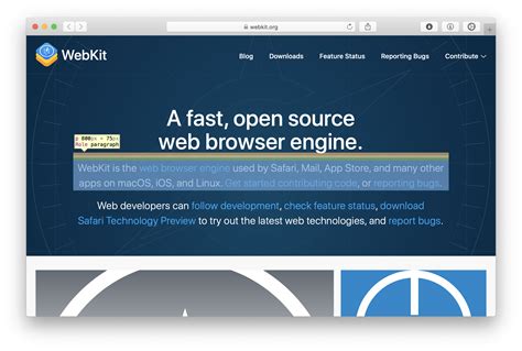 Page Overlay Webkit