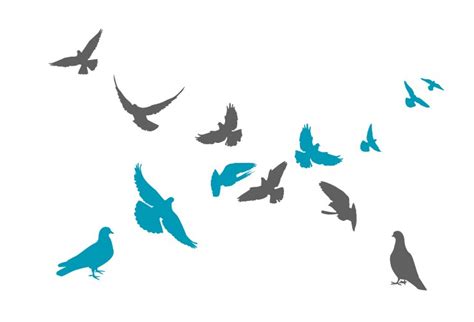 Flock Of Pigeons Vector Images Over 2000