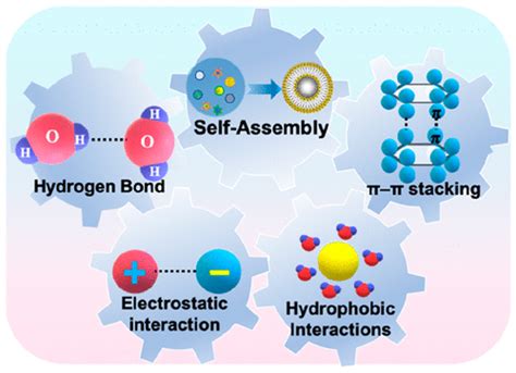 Review Of Carrier Free Self Assembly Of Anticancer Nanodrugs Acs