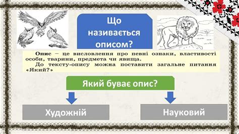 Особливості будови опису тварини Youtube