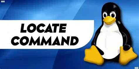 Linux Command To Find And Locate Files Webhosting Delhi1
