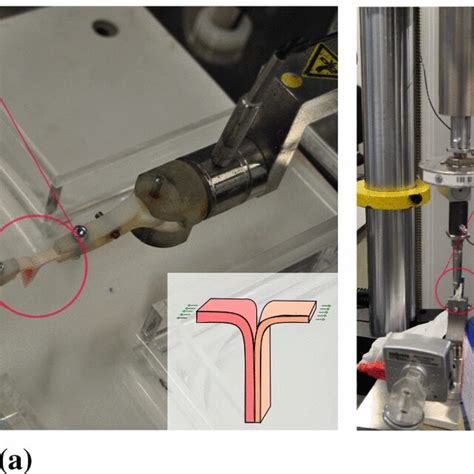 Experimental Setup And Descriptive Outline Of The Experimental Tests Download Scientific