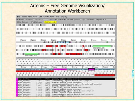 Ppt Gene Prediction And Annotation Techniques Basics Powerpoint Presentation Id 152269