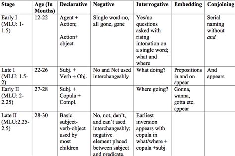 Understanding Sentence Structures