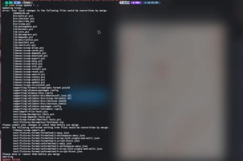 Scoop Wont Allow Update Conflicting Files Bug · Issue 5076