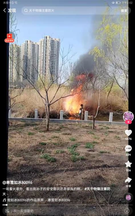 Fire Detection Instance Segmentation Dataset By Detectium