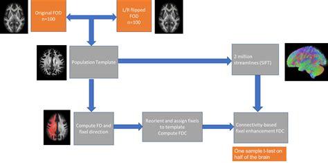Figure 1flow Chart Summarising The Key Steps Of The Fixel Based Analysis Framework For Brain