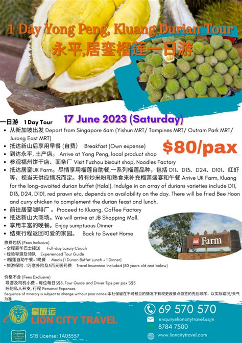 1 Day Yong Peng Kluang Durian Tour 永平居銮榴莲一日游 Lion City Travel