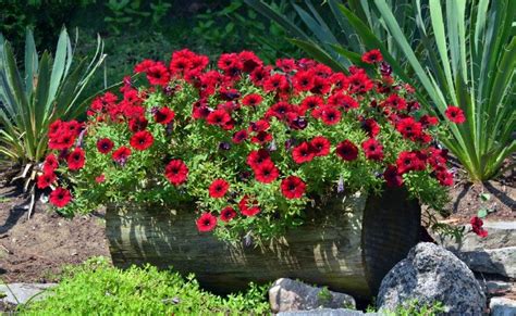 17 Gorgeously Rustic Log Planters And How To Make Them Artofit