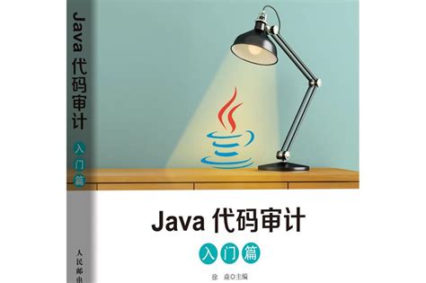 php代码审计要看什么书 世外云文章资讯