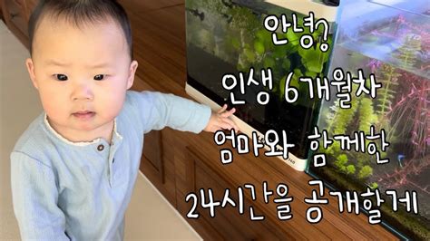 육아vlog 6개월 아기의 24시간 리얼 독박육아 6개월 아기 발달 발달이 빠른 아기 생애 첫 문화센터 낯가림