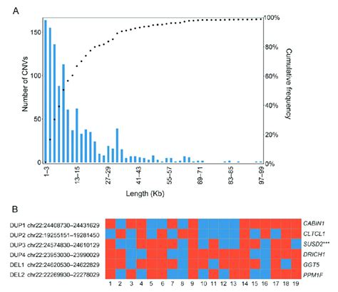 Cnvs Called By Cnvnator A Length Distribution Of Cnv Calls Across 19