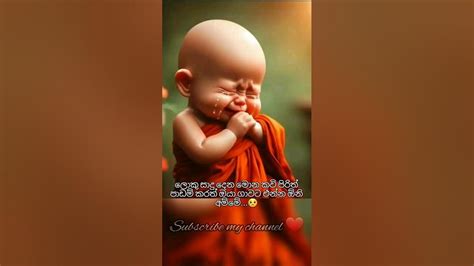 ලොකු සාදු දෙන මොන කවි පිරිත් පාඩම් කරත් මට ඔයා ගාවට එන්න ඕනි අම්මේ ඔයාට මාව මතක් වෙන් නැද්ද 😥