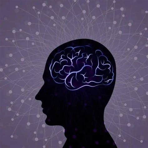 【关注】得了健忘症怎么办？六招助你提高记忆力 大脑 脑细胞 患者